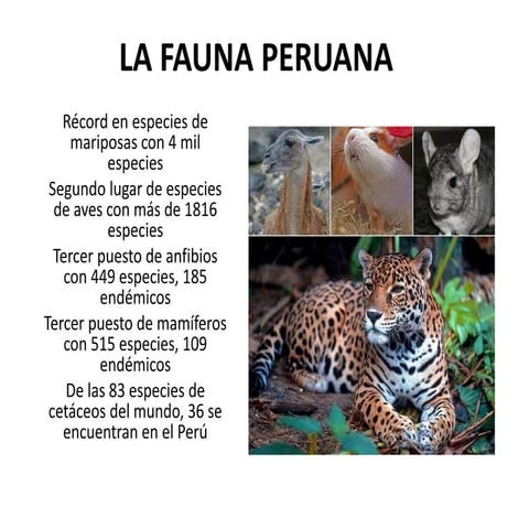 La fauna peruana | PPTX