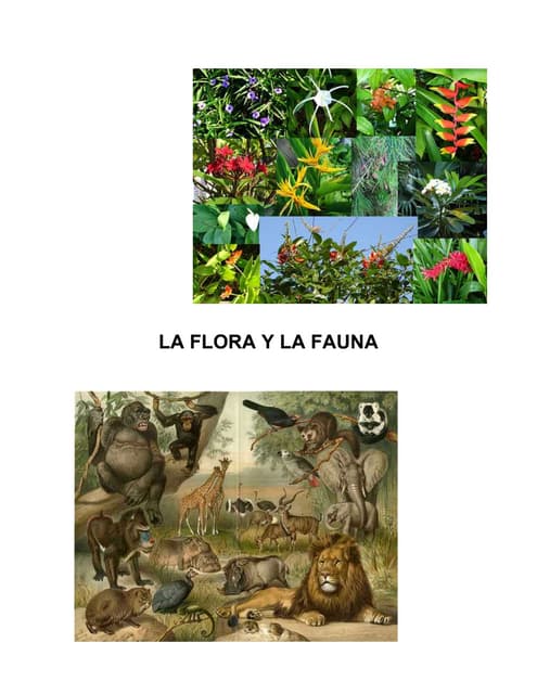153321703 flora-y-fauna-de-piura | PDF