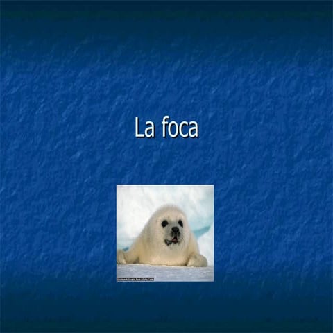 Som la classe de la foca monjo | PPT