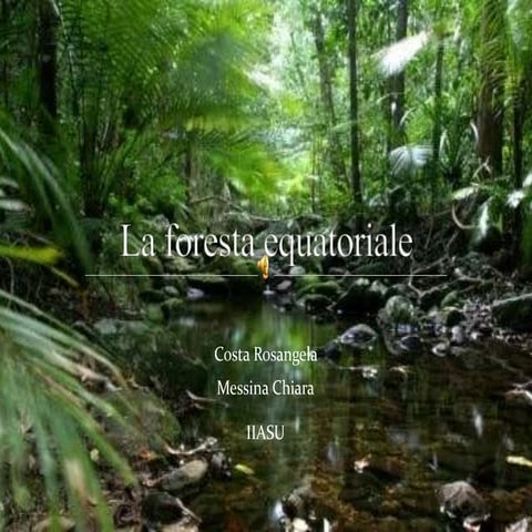 La foresta equatoriale | PPT