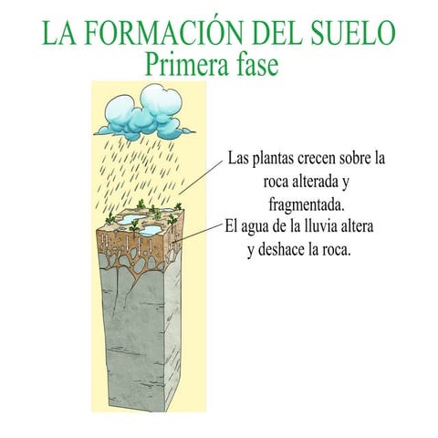La formación del suelo | PPT