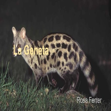 La geneta | PPT