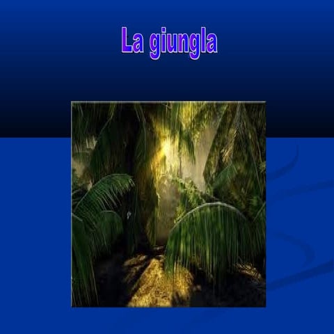 La giungla | PPT