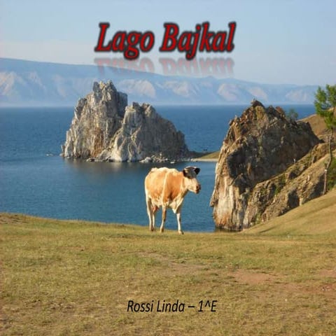 Lago bajkal linda rossi | PPT