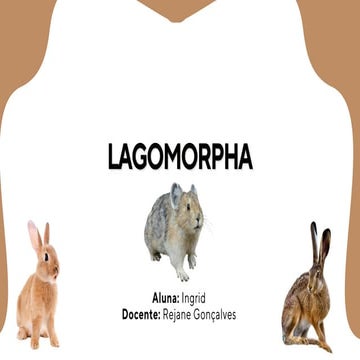 Ordem lagomorpha (leporídeos; família ochotonidae; família leporidae ...