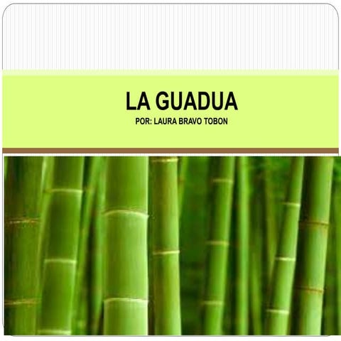 La guadua | PPTX