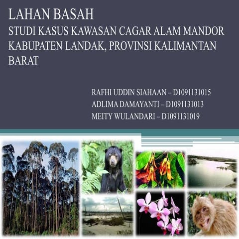LAHAN BASAH.pptx