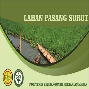 Lahan pasang surut | PPTX