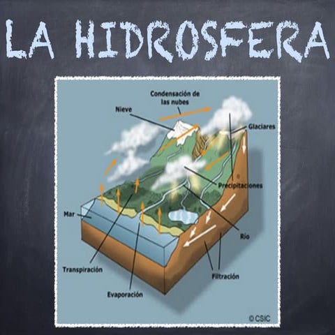Diagrama De La Hidrosfera