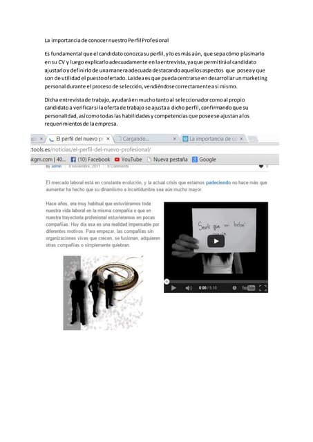 Perfil profesional | PDF