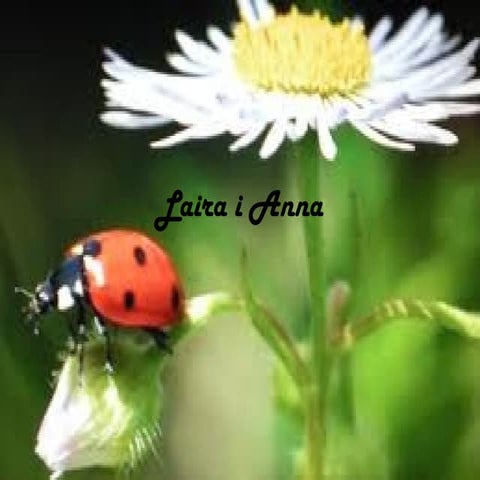 Laira i anna | PPT
