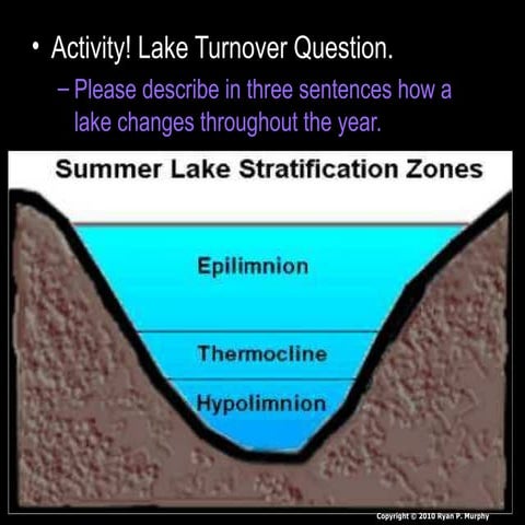 Lake Turnover PowerPoint, Summer Stagnation, Epilimnion, Thermocline ...
