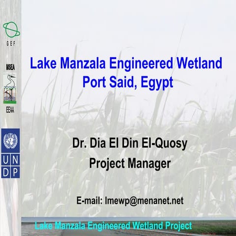 Lake Manzala Engineered Wetland, Port Said, Egypt [IWC4 Presentation] | PPT