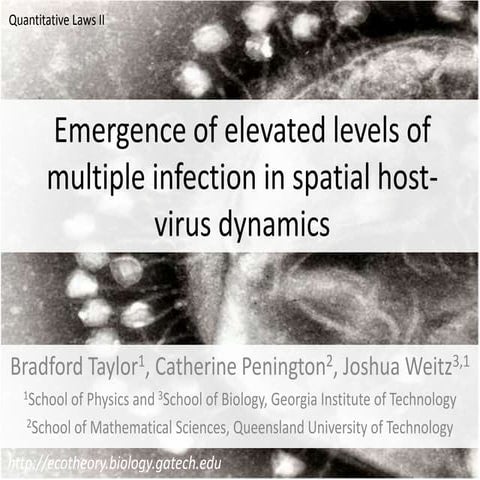 Emergence of elevated levels of multiple infection in spatial host ...
