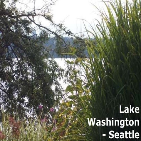 Lake Washington | PPS