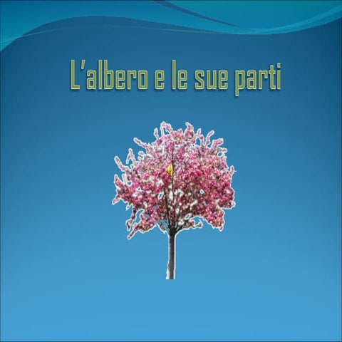L’albero e le sue parti | PPT
