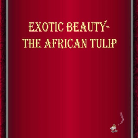 The African Tulip | PPS