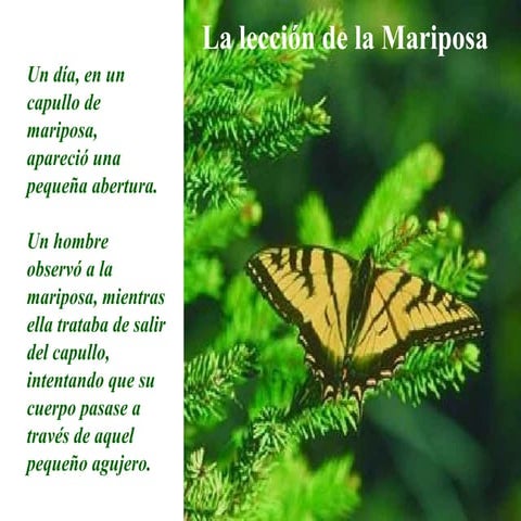 La leccion de la mariposa | PPT