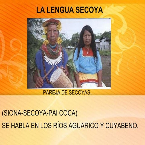 DESAFIO COMUNITARIA 4: idioma de los Sionas.