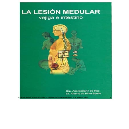 La lesion medular | PDF