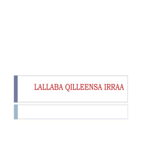 LALLABA QILLEENSA IRRAA.pptxddddddddddddd | PPT