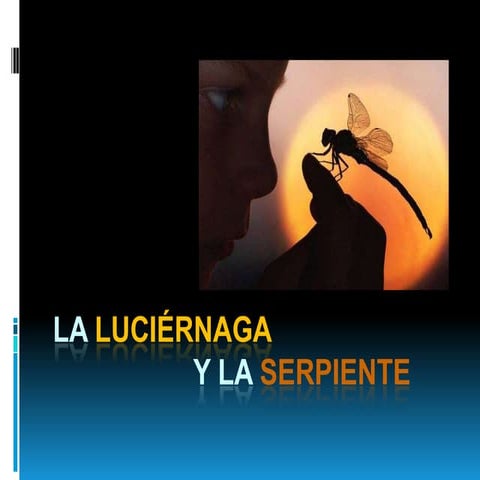 La luciérnaga | PPTX