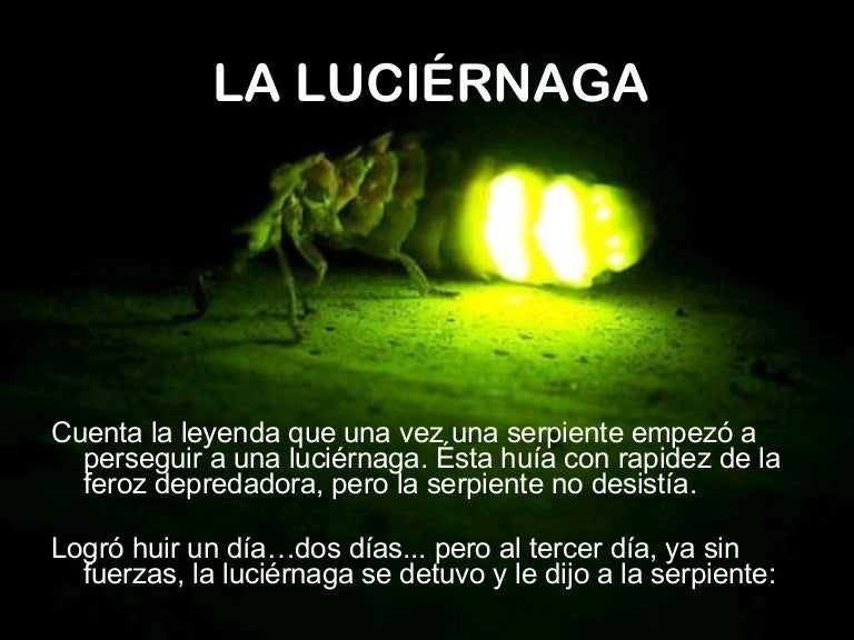 La luciérnaga