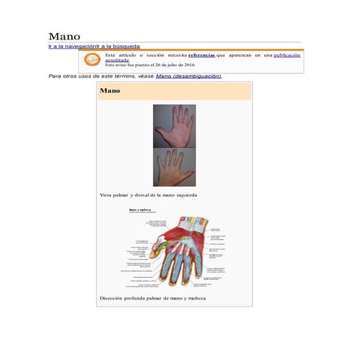 Anatomía de la mano osteologia completa. | PPTX