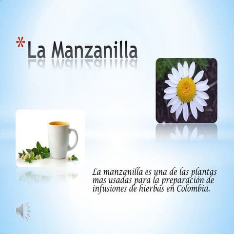 La manzanilla | PPTX