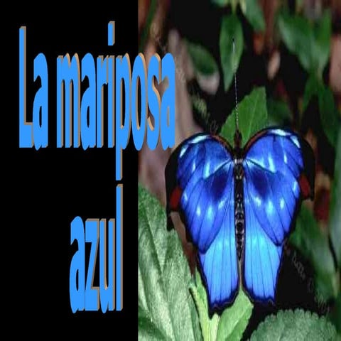 LA MARIPOSA AZUL.docx