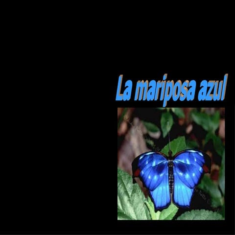 LA MARIPOSA AZUL.docx