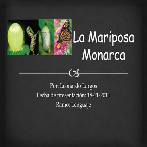 La mariposa monarca | PPTX