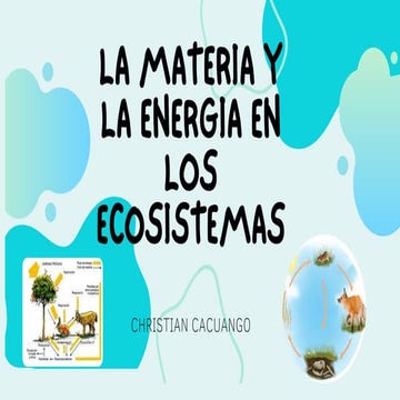 Hoja De Trabajo Sobre Transferencia De Energía En Los Ecosistemas LA