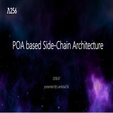 POA based Side-Chain Architecture | PDF