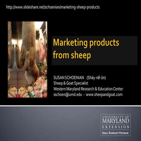 Marketing sheep products | PPTX