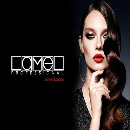 Lamel professional | PDF | Makeup and Accessories | Beauty