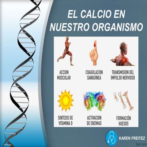 EL CALCIO EN NUESTRO ORGANISMO | PPT