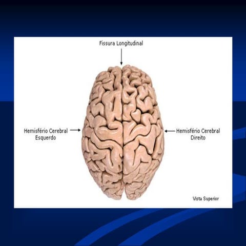 Laminario-Basico.ppt