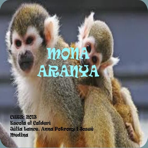 La mona aranya | PPT