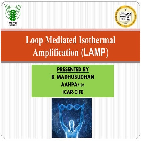 Loop Mediated Isothermal Amplification (LAMP) | PPTX