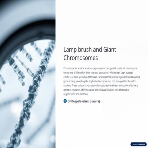 Giant chromosomes-lampbrush & Polytene | PPTX