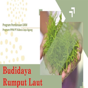 Budidaya Rumput Laut.pdf