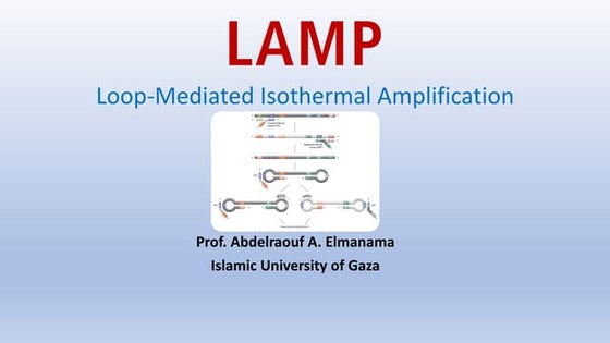 LAMP PCR.pptx by Dr. Chayanika Das, Ph.D, Veterinary Microbiology ...