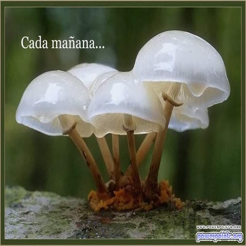 Takafulink Alteration Request Form | PDF