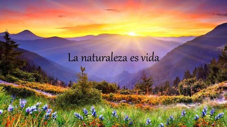 La naturaleza es vida