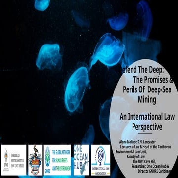 Lancaster, Presentation, Defend The Deep The Promises And Perils Of ...
