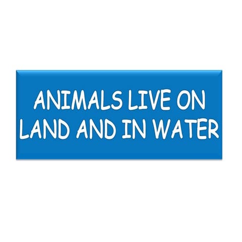 Land and water | PPT
