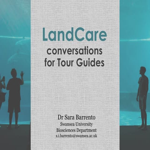 Transformative tourism | PDF