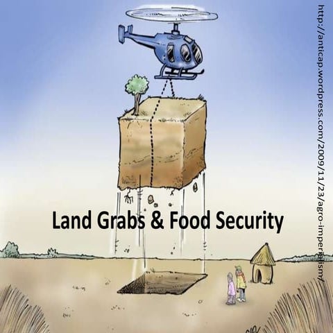 Land Grabs | PPTX | Agriculture | Industries
