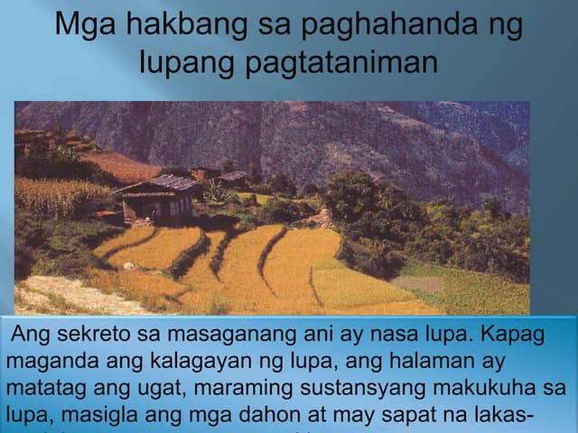 Pagpaparami ng halaman | PPTX